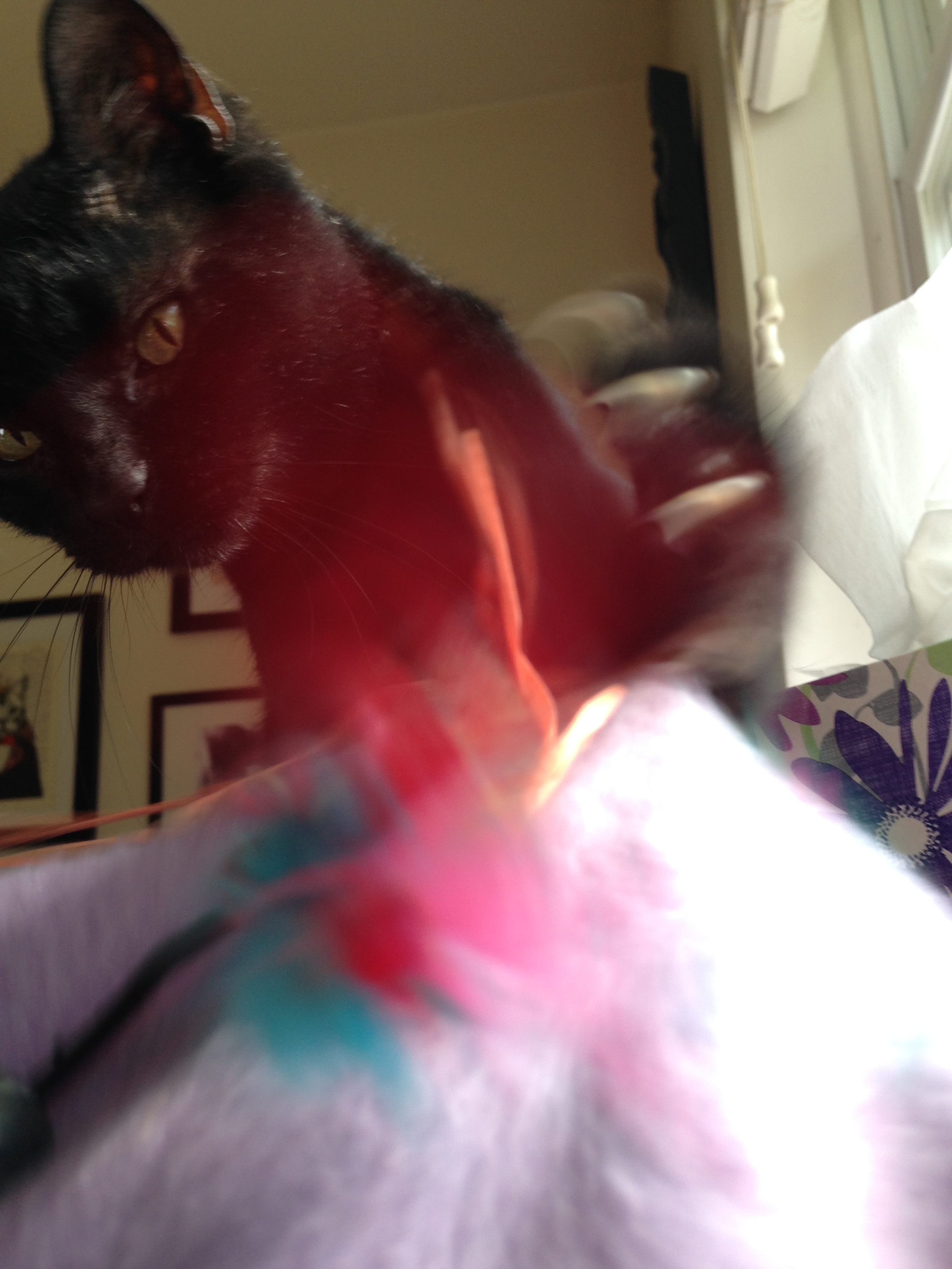 gotcha man | Mr. Man Takes Over The Universe